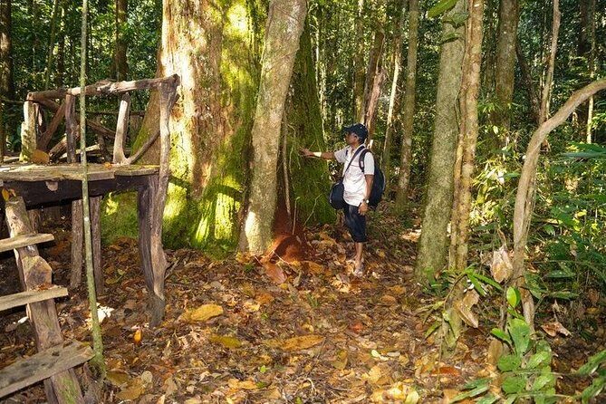 Trekking and Bird Watching in Kanneliya Rain Forest - Final Thoughts