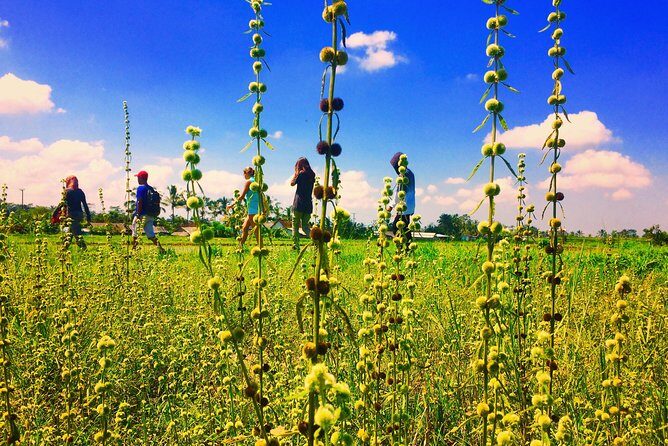 Trekking and Sightseeing tour with lunch - Who Will Love This Tour?