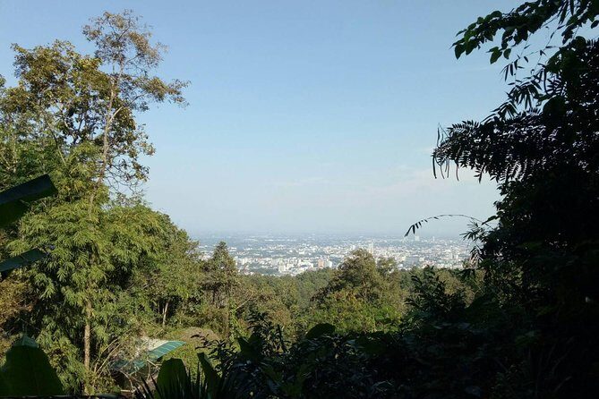 Trekking at the Monk Trail and Doi Suthep Temple Private Tour - What Reviewers Say