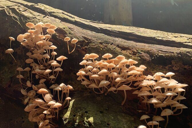 Trekking, Biking & Kayaking in Cat Ba National Park, Lan Ha Bay - FAQs