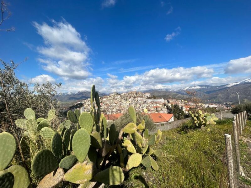 Trekking del Borgo in the village - Final Thoughts: Who Should Consider This Tour?