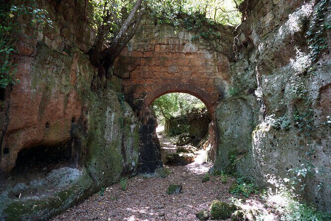 Trekking Excursion History and Nature Necropolis of Norchia from Rome - The Perfect Audience for This Tour