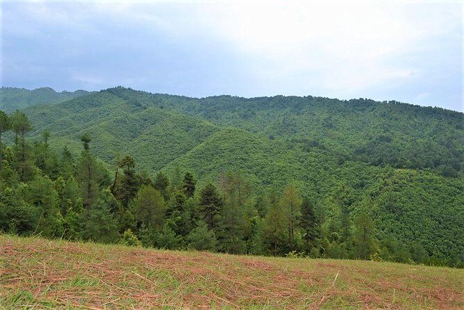 Trekking Guide in Kathmandu - Final Thoughts: Is This Tour Worth It?