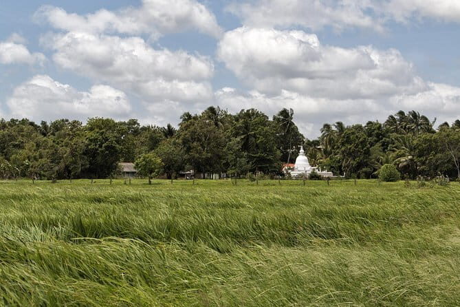 Trekking in Illukpelessa Village from Ella - Key Points