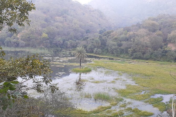 Trekking in Kumbhalgarh - What Travelers Say