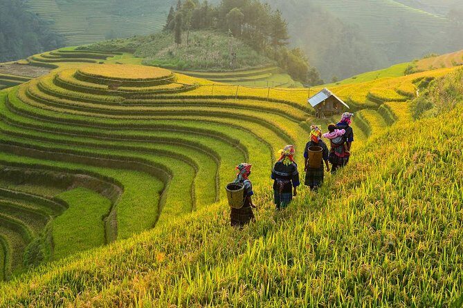 Trekking In Mu Cang Chai Tour 4 Days - Key Points