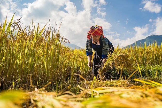Trekking In Mu Cang Chai Tour 4 Days - Who Will Love This Tour?