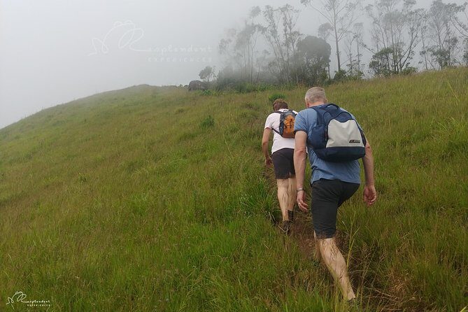 Trekking in Munnar - Frequently Asked Questions