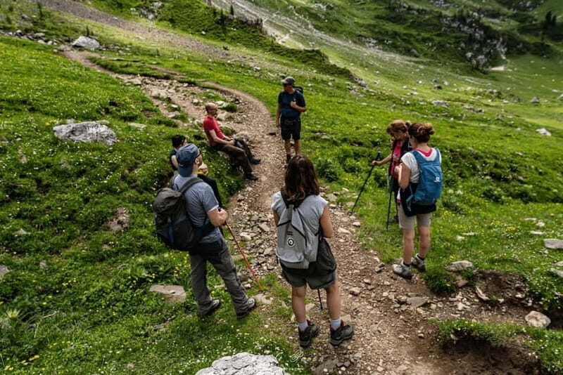 Trekking in the Dolomites: nature, views, and flavors at high altitude - Exploring the Dolomites: A Practical Overview