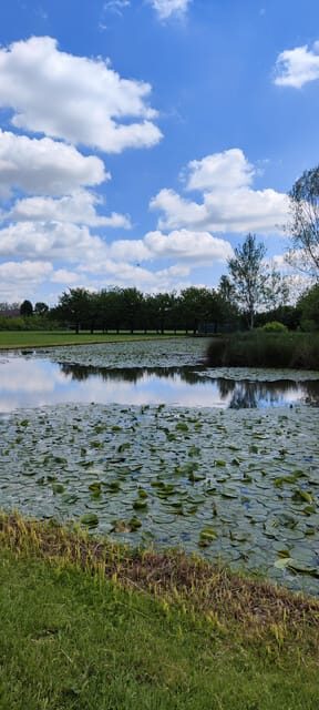 Trekking in the Wood with picnic on the turtles lake - Final Thoughts
