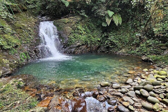 Trekking Journey Discover Bach Ma National Park from Hue - A Friendly Introduction to the Tour