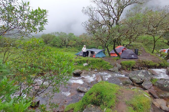 Trekking Lembah Lohe - What to Expect from Trekking Lembah Lohe