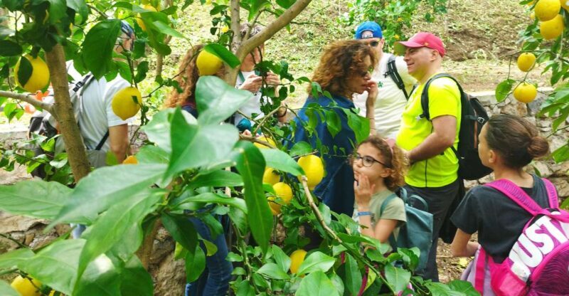 Trekking Lemon Tour - Authenticity and Insights from Reviews