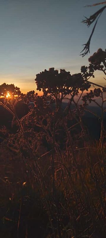 Trekking mount sangkareang (Tetebatu crater-rim) 2D1N - An Introduction to the Trek Experience