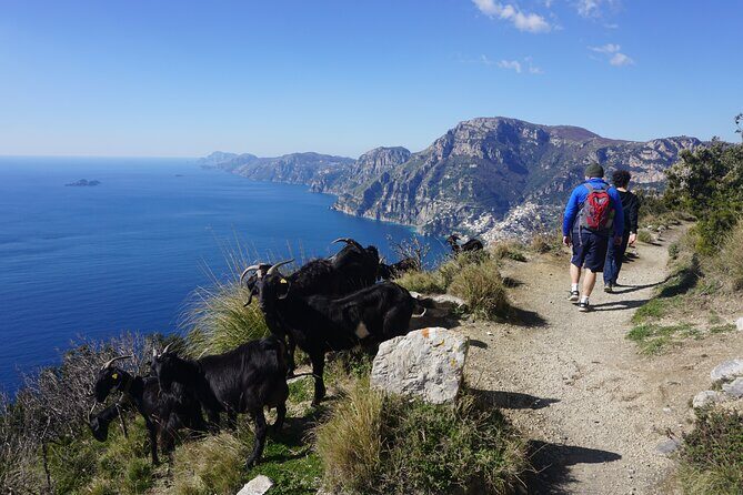 Trekking of the Amalfi Coast - 4 Days / 3 Nights - A Full Breakdown of the Itinerary