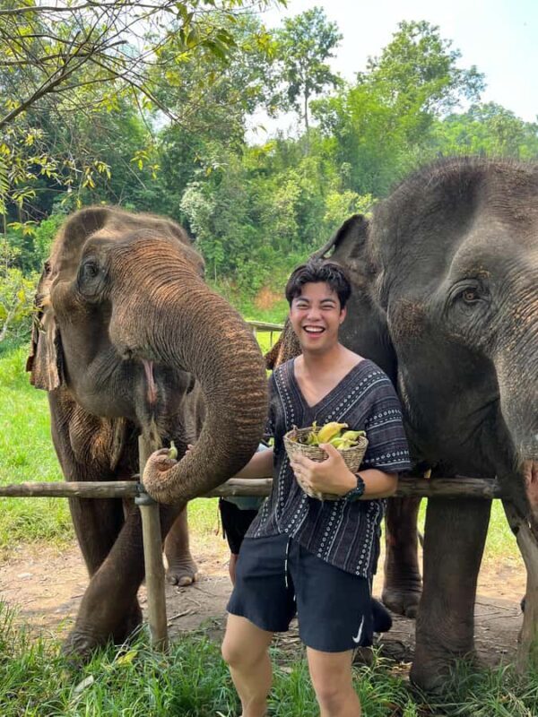 Trekking One Day with Elephant Care + Bamboo Rafting - An Honest Look at the Itinerary