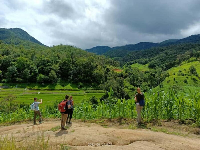Trekking One Day with Elephant Care + Bamboo Rafting - Who Should Consider This Tour?