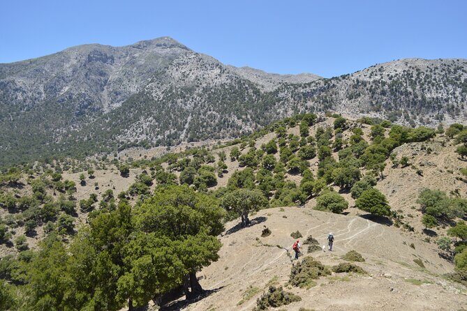 Trekking Rouvas Gorge - Key Points