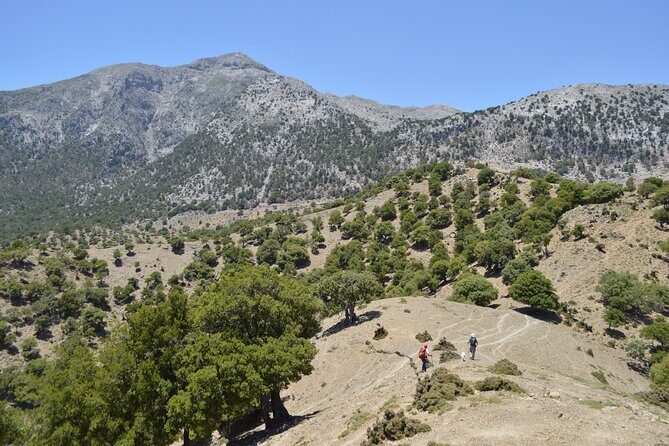 Trekking Rouvas Gorge - Authentic Experiences and Tips for Visitors