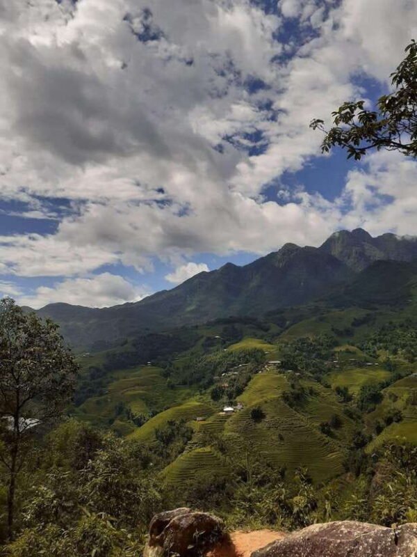Trekking Sapa 1 Day With Local Guide, Terraced Rice Fields - Trekking Sapa 1 Day With Local Guide, Terraced Rice Fields: An Unmissable Cultural Adventure