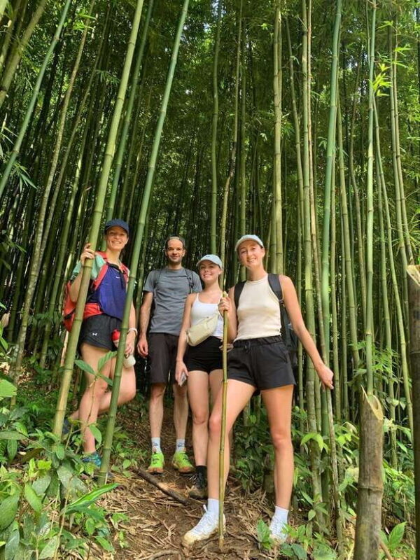 Trekking Sapa 1 Day With Local Guide, Terraced Rice Fields - What Makes This Tour Special