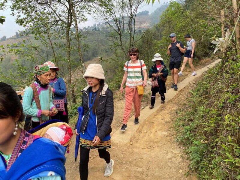 Trekking Sapa 1 Day With Local Guide, Terraced Rice Fields - Authentic Experiences Highlighted by Reviews