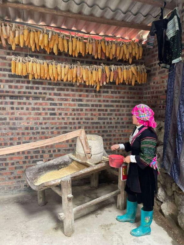 Trekking Sapa 1 Day With Local Guide, Terraced Rice Fields - Who This Tour Is Best For