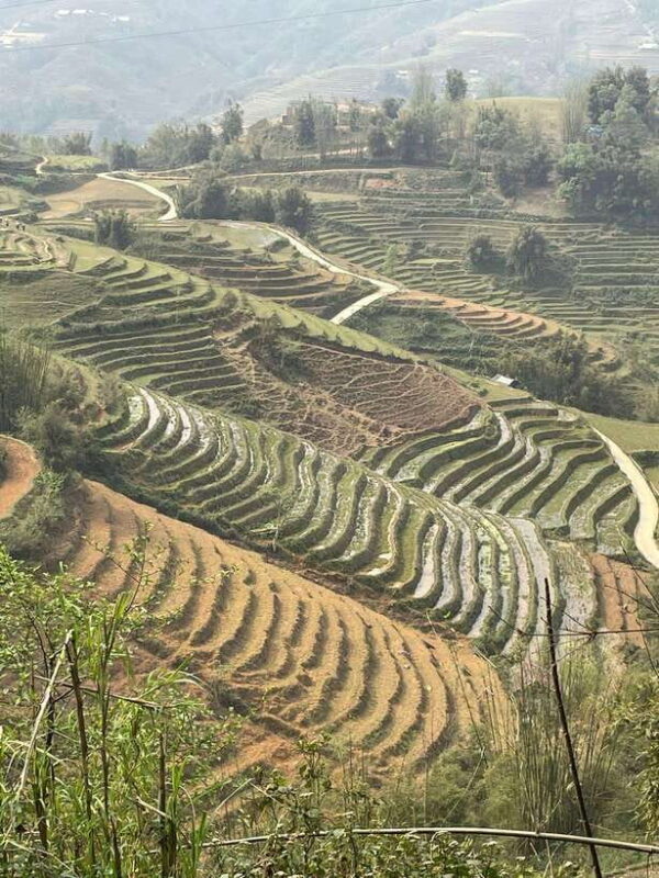 Trekking Sapa 1 Day With Local Guide, Terraced Rice Fields - Final Thoughts