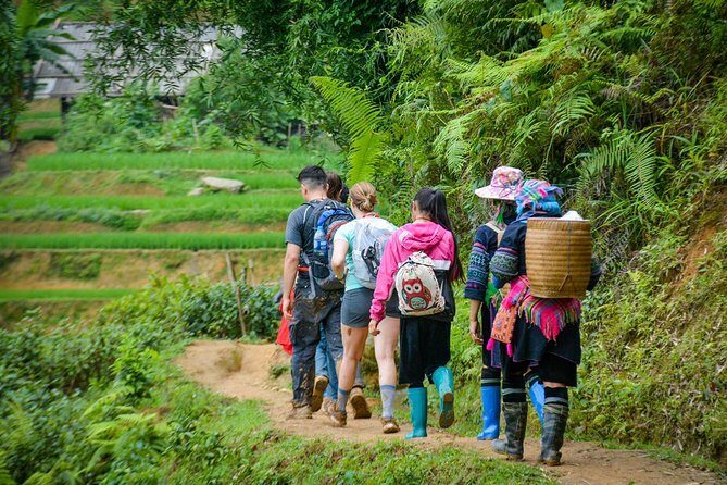 Trekking Through Rice Terraced Fields - 1Day - Final Thoughts: Is This Tour for You?
