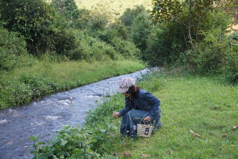 Trekking to Hidden Waterfall & Sturgeon Farm for dog-lovers - In-Depth Review of the Experience