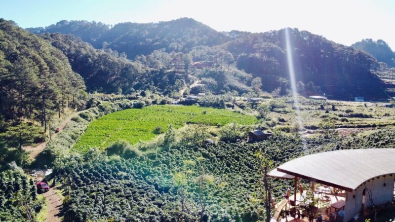 Trekking to Hidden Waterfall & Sturgeon Farm for dog-lovers - The Sum Up