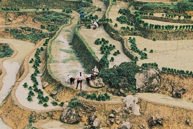 Trekking to Ta Phin, pick medicinal leaves and herbs. - Authentic Reviews and Real Experiences