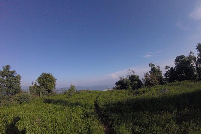 Trek's around Mussoorie - Authentic Reviews and Perspectives