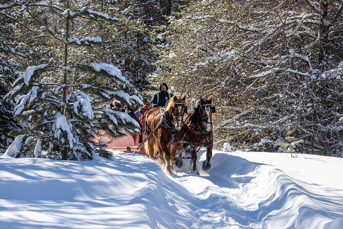 Tremblant Sleighride - Frequently Asked Questions