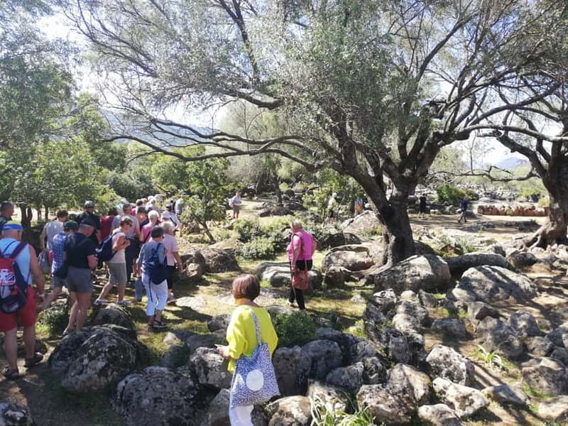 Trenino Supramonte: Guided tour of Golgo plateau - Key Points