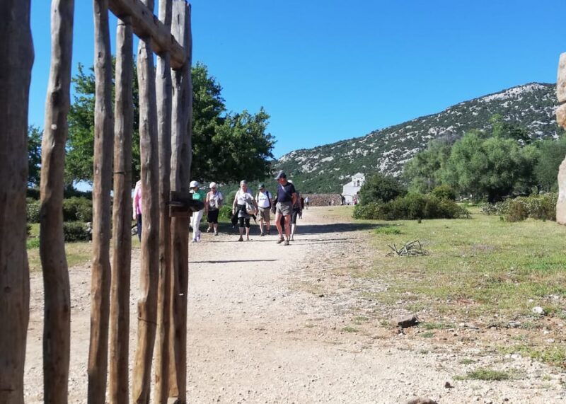 Trenino Supramonte: Guided tour of Golgo plateau - What Makes This Tour Stand Out