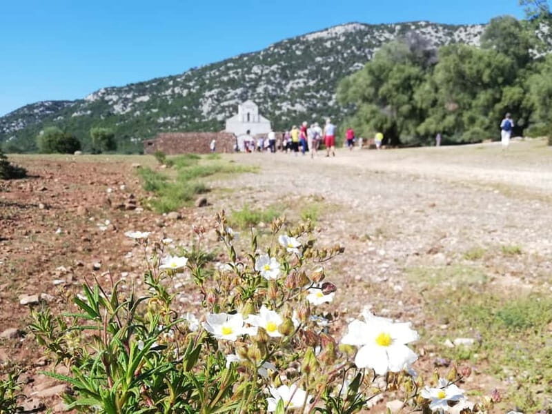 Trenino Supramonte: Guided tour of Golgo plateau - Who Should Consider This Tour?