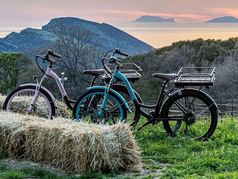 Trentinara: E-Bike Tour with Picnic in the Vineyard - Authentic Experiences and Traveler Feedback