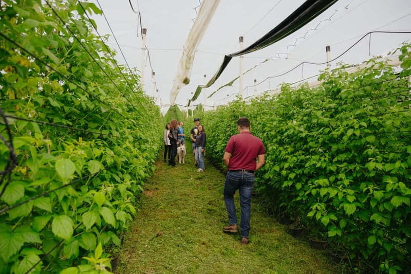 Trentino Agriconda: frutTIAMO...Explore, Learn, Taste Small Fruits - Key Points