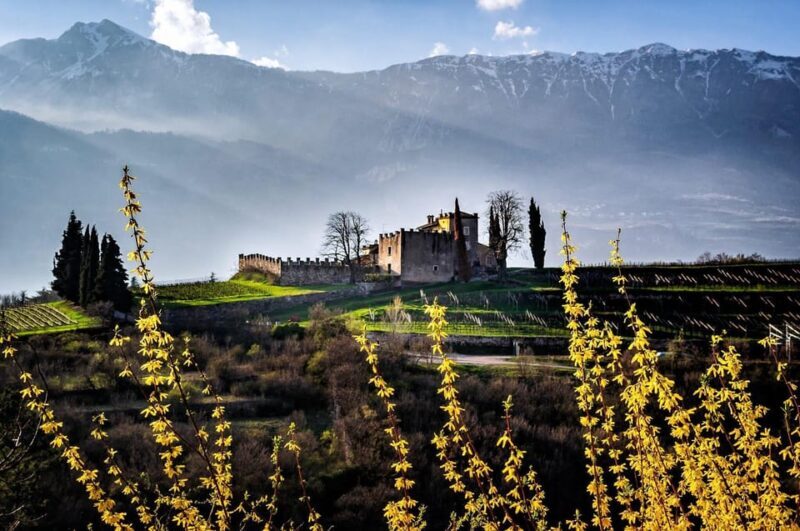 Trento: Balter Winery Guided Tour with Wine Tasting - Key Points
