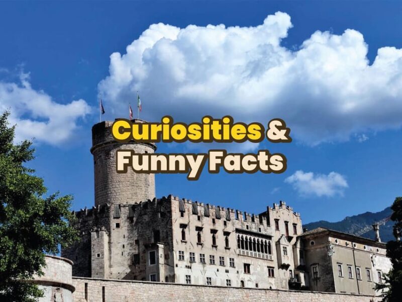 Trento: Digital guide made with a Local for your Tour - What the Reviews Say
