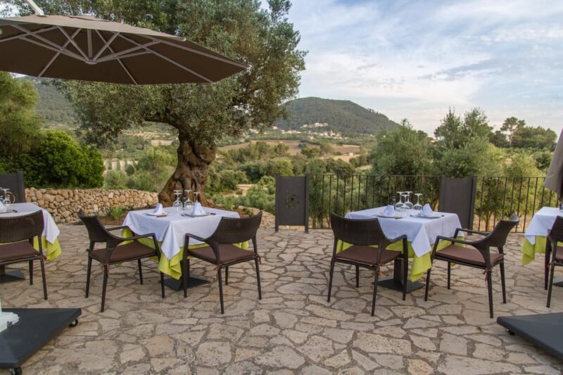 Treurer: Mediterranean barbecue Night - FAQ