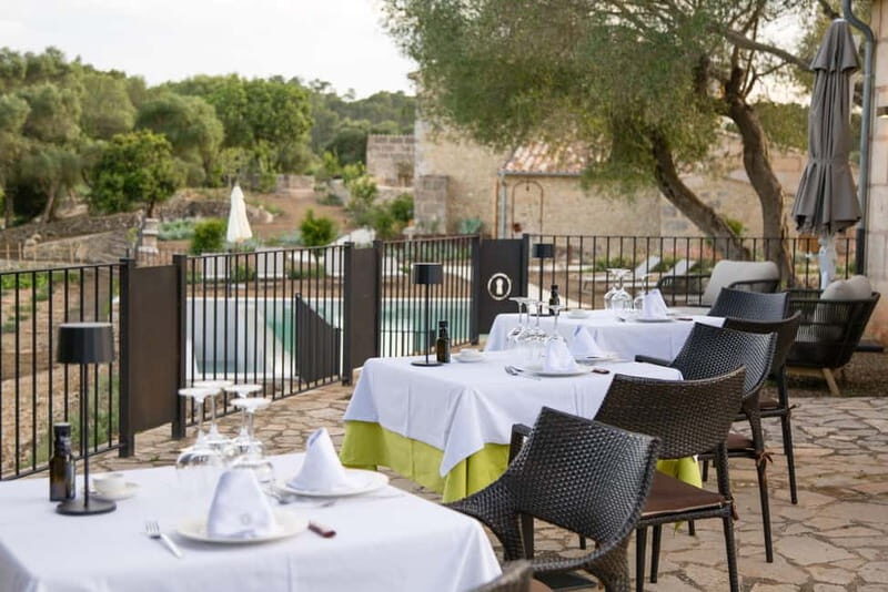 Treurer: Olive Oil Night. Gastronomic experience - An In-Depth Look at the Experience