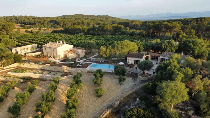 Treurer: Olive Oil Night. Gastronomic experience - What Past Travelers Say