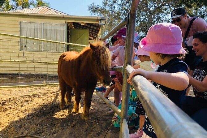 Trevena Glen 1hr Animal Tour - Authentic Experiences from Guest Reviews