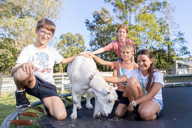 Trevena Glen Farm Animal Experience - FAQs about Trevena Glen Farm Animal Experience