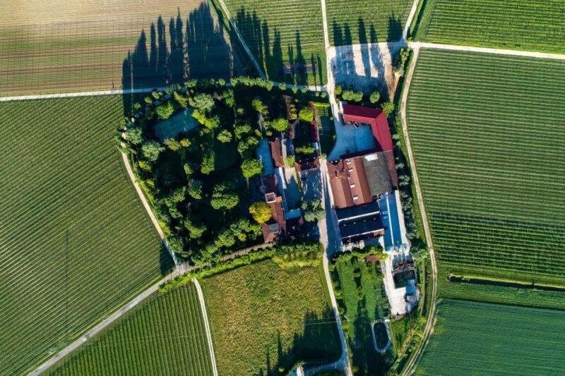 Treviso neighborhood: Tenute Tomasella/Wine Experience - The Tour: What to Expect