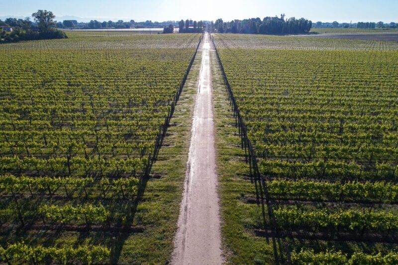Treviso neighborhood: Tenute Tomasella/Wine Experience - FAQ