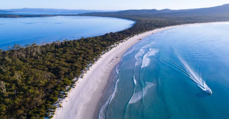 Triabunna: Maria Island and Ile Des Phoques Day Trip by Boat - Practical Considerations