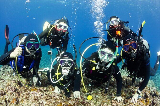 Trial diving tour that even inexperienced people can enjoy safely - Key Points